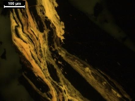 Mineral Processing | CSIR-NML